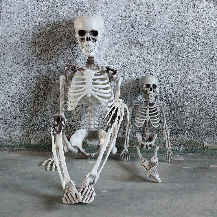Halloween Posable Skeleton Prop 5ft Funny Giant Skeleton Yard Skull ...