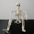 Halloween Posable Skeleton Prop 5ft Funny Giant Skeleton Yard Skull ...