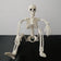 Halloween Posable Skeleton Prop 5ft Funny Giant Skeleton Yard Skull ...