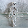 Halloween Posable Skeleton Prop 5ft Funny Giant Skeleton Yard Skull ...