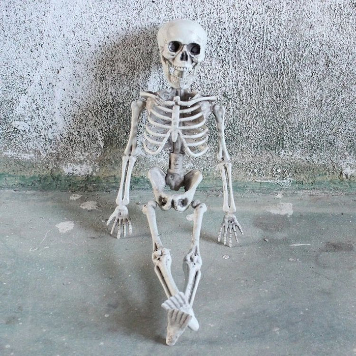 Halloween Posable Skeleton Prop 5ft Funny Giant Skeleton Yard Skull ...